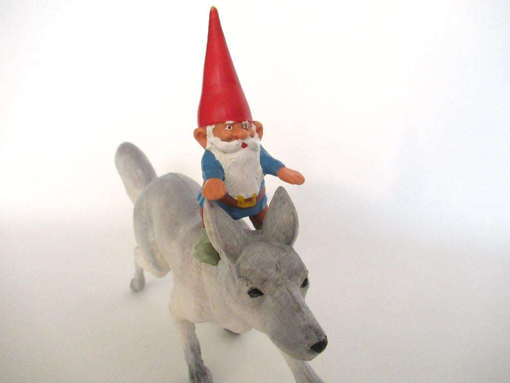 White Polar Fox with David sitting on his back, David the gnome, After ...